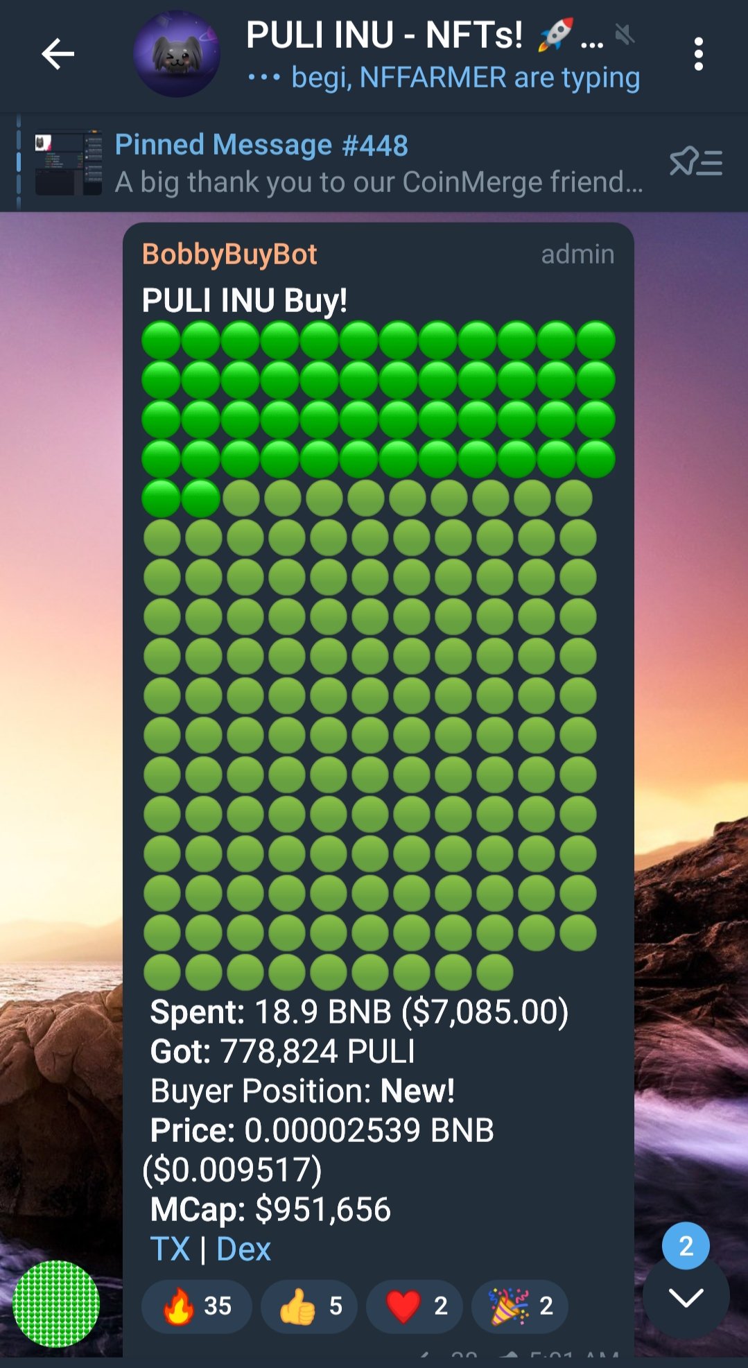 RamJ OfficiaL | GM🤑💀 on Twitter: "@intocryptoverse 🐶First $PULI on the BSC. - Liquidity Locked ...