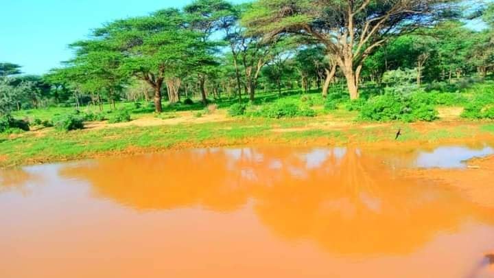 Sawiro Aad U Qurux Badan