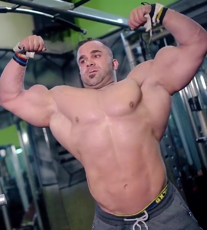 Muscle Lover on Twitter: "RT @musclelovergr: Iranian muscle beast - IFBB Pro bodybuilder ...