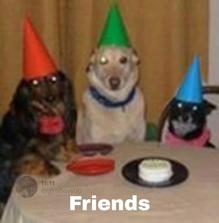 Dog Party Meme