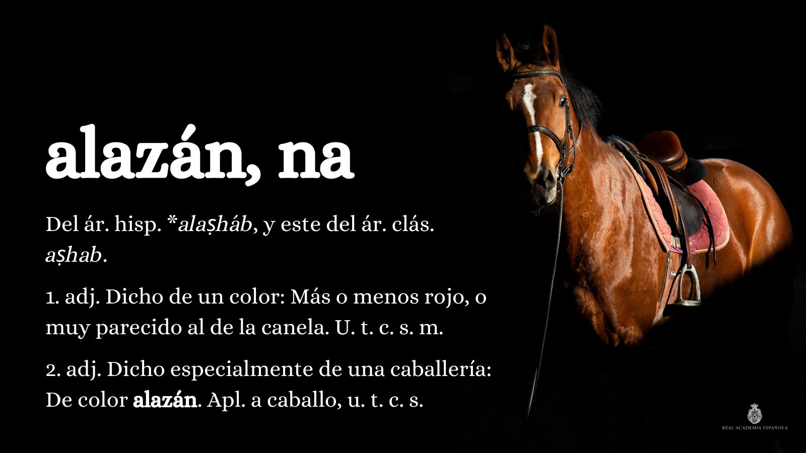 Descarga Relativamente editorial caballo pelo blanco gris y bayo Oír de ...