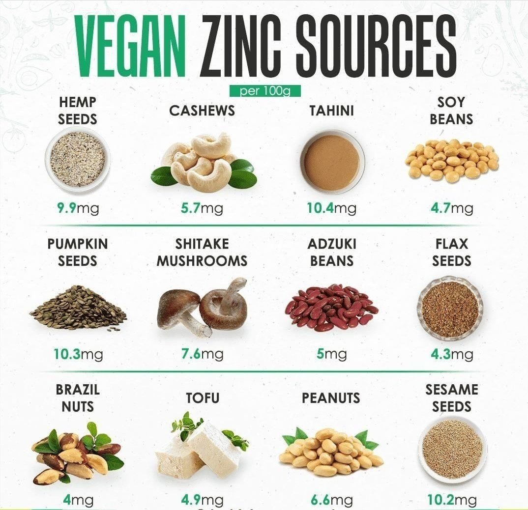 Zinc Food Sources