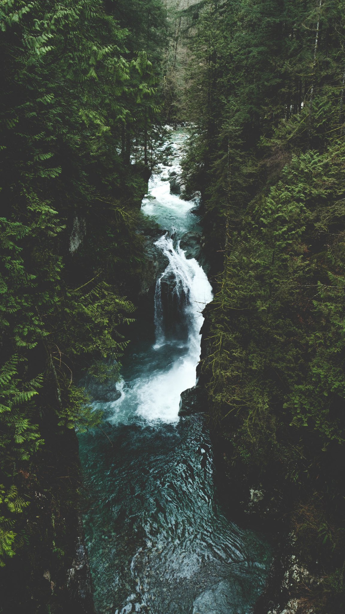 TW Pornstars - Charles Finnie. Twitter. Lynn Canyon - Jan. 2022 The ...