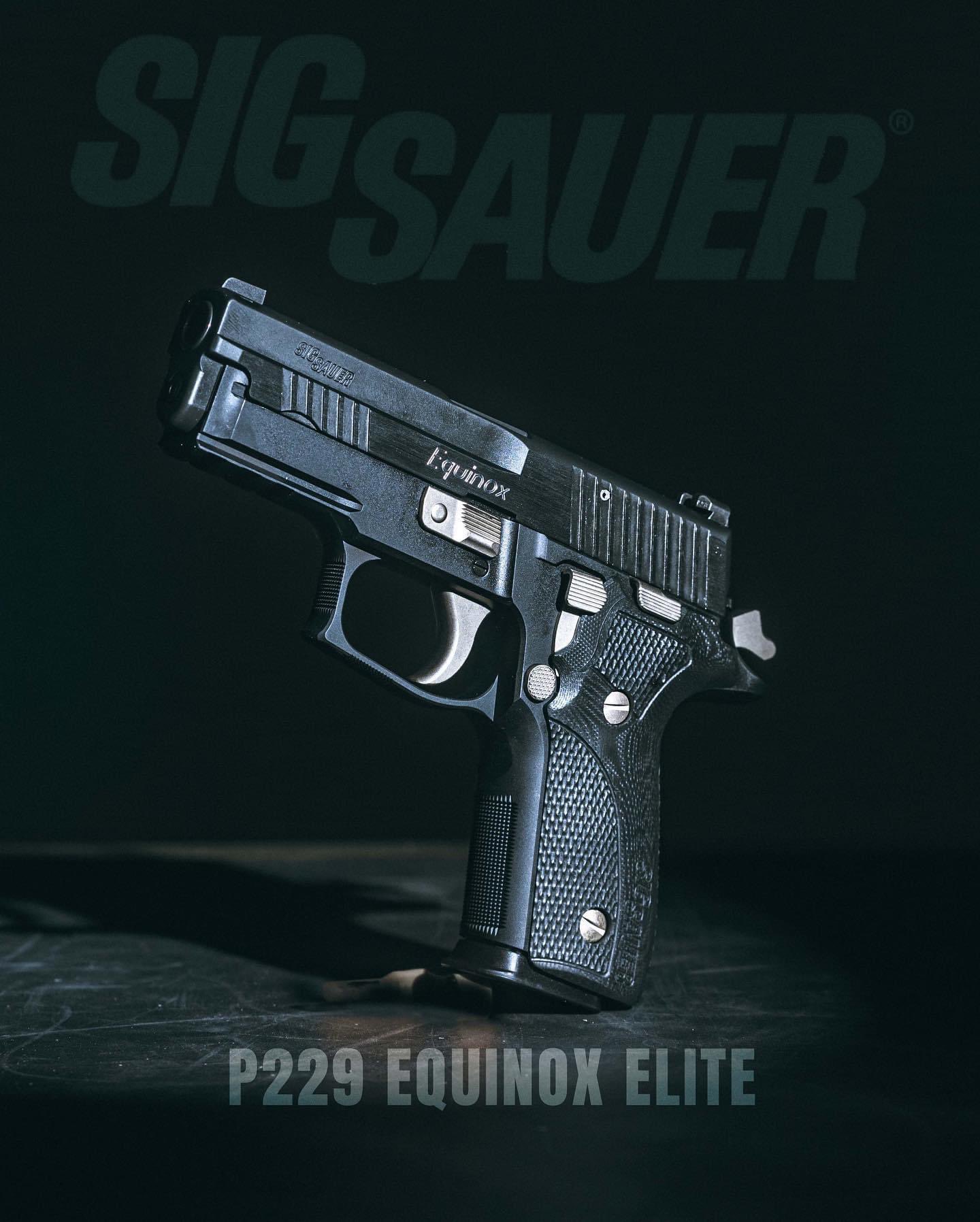 Sig Sauer P229 Equinox