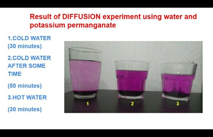 Diffusion Experiment With Hot And Cold Water