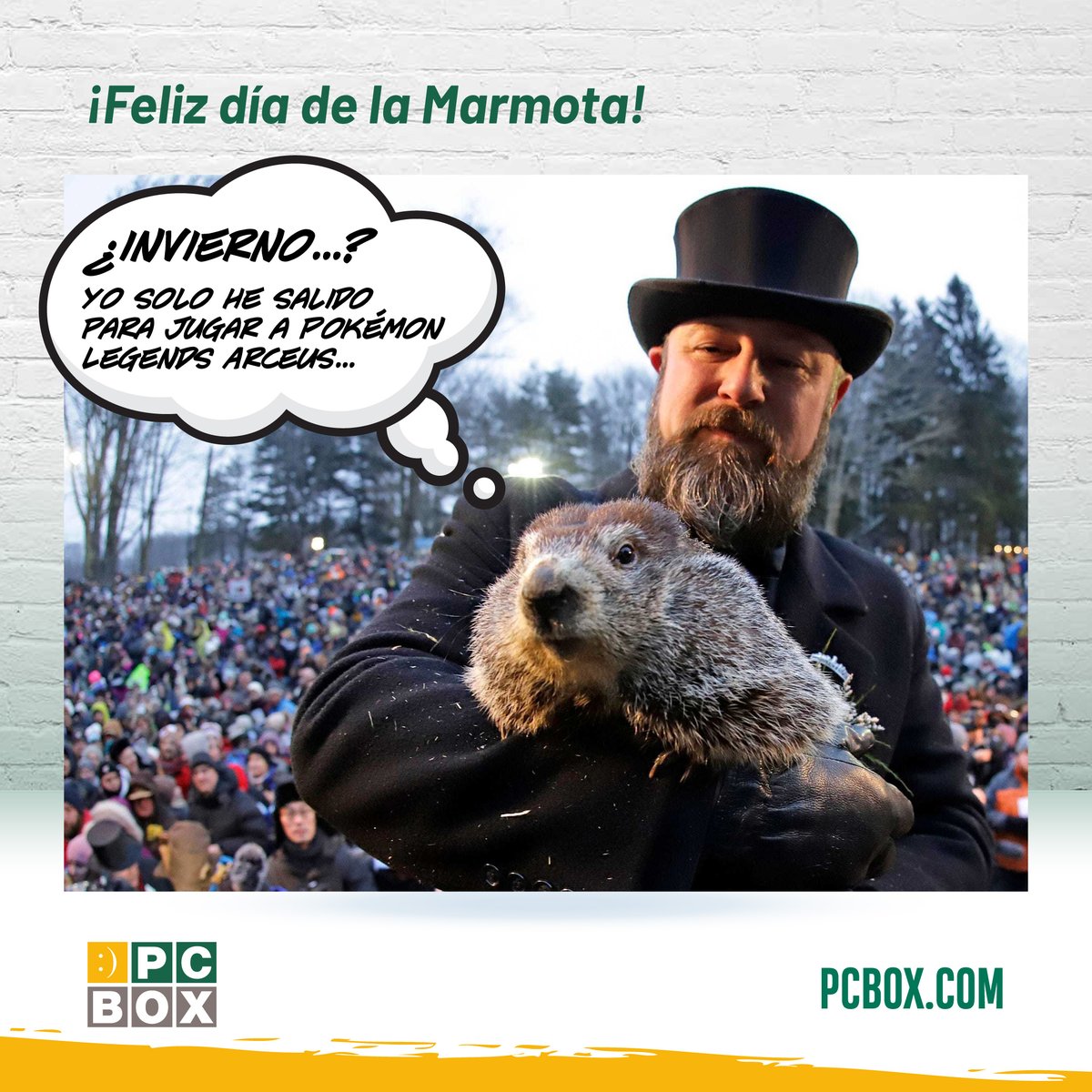 Cita Del Día De La Marmota