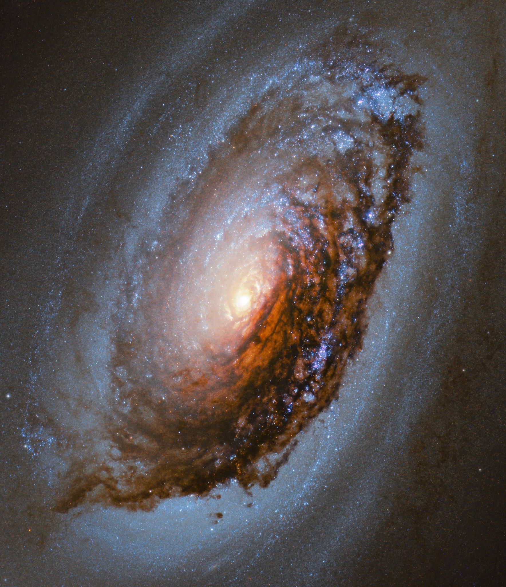 Hubble Eye