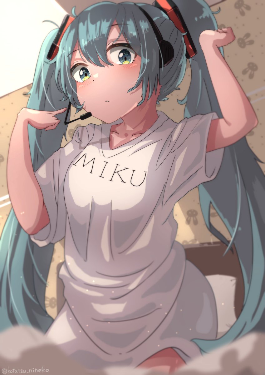 Twoucan - こたつネ(Kotatsune) (@kotatsu_nineko)