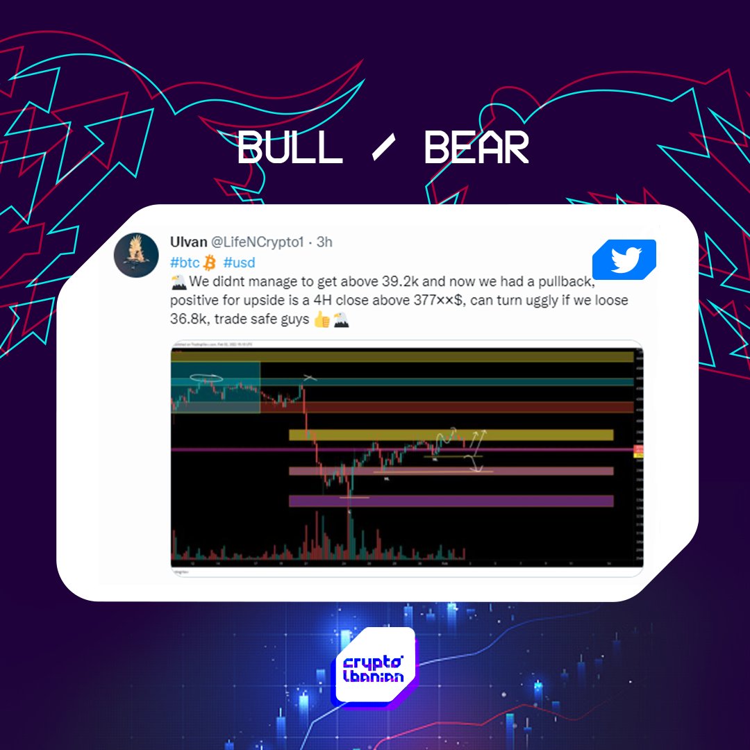 Cryptolbanian (@cryptolbanians) | Twitter