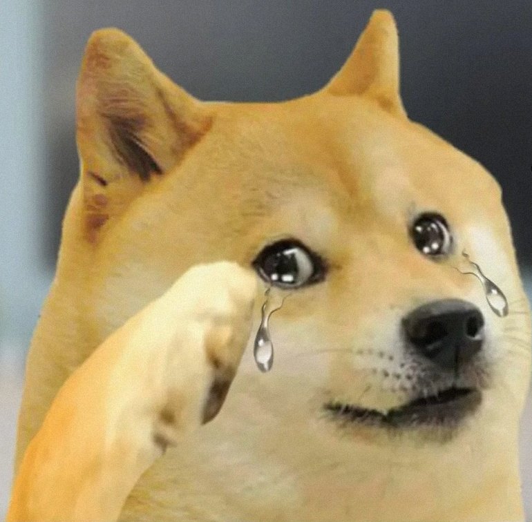 Doge I Cry Evertim