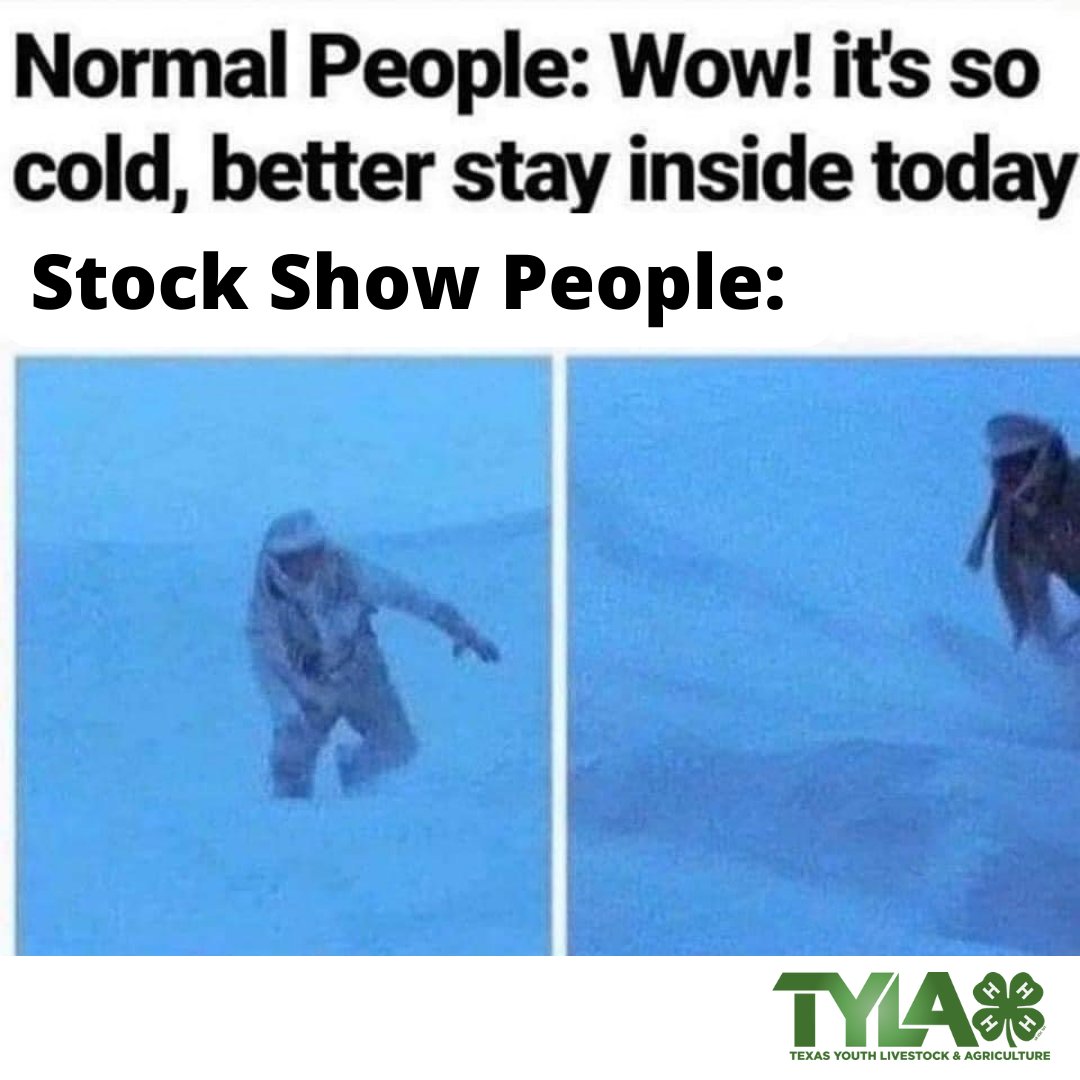 Stock Up Big Storm Meme