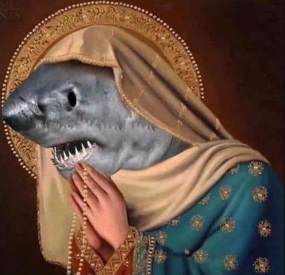 FARK.com: (13043222) Baby Shark doo doo doo doo doo doo Virgin Mom doo ...