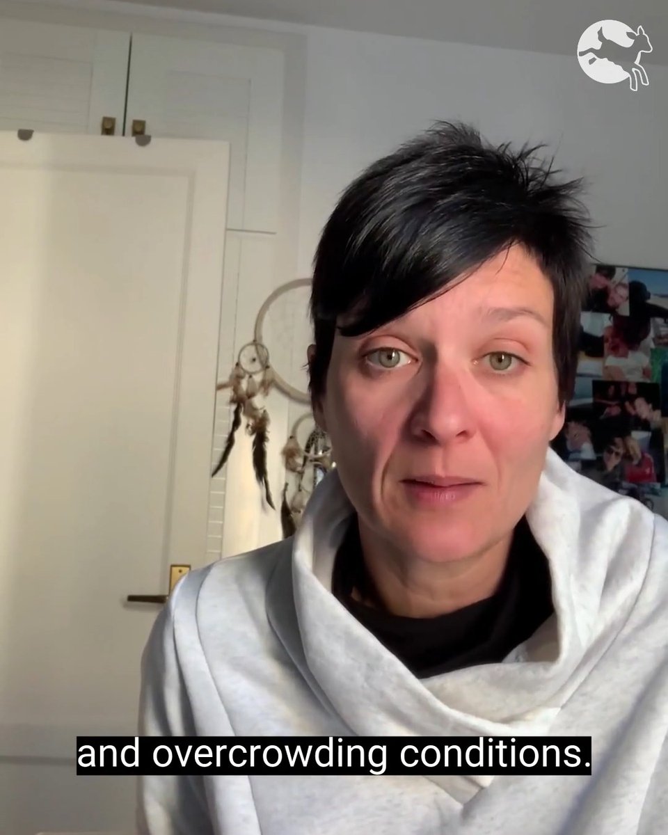 Caroline French's Instagram, Twitter & Facebook on IDCrawl