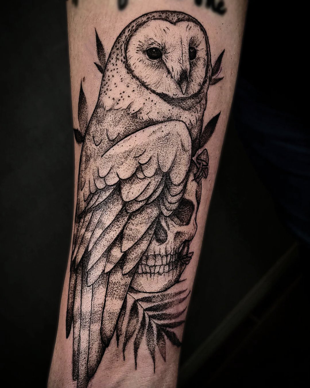 Barn Owl Tattoo Drawing