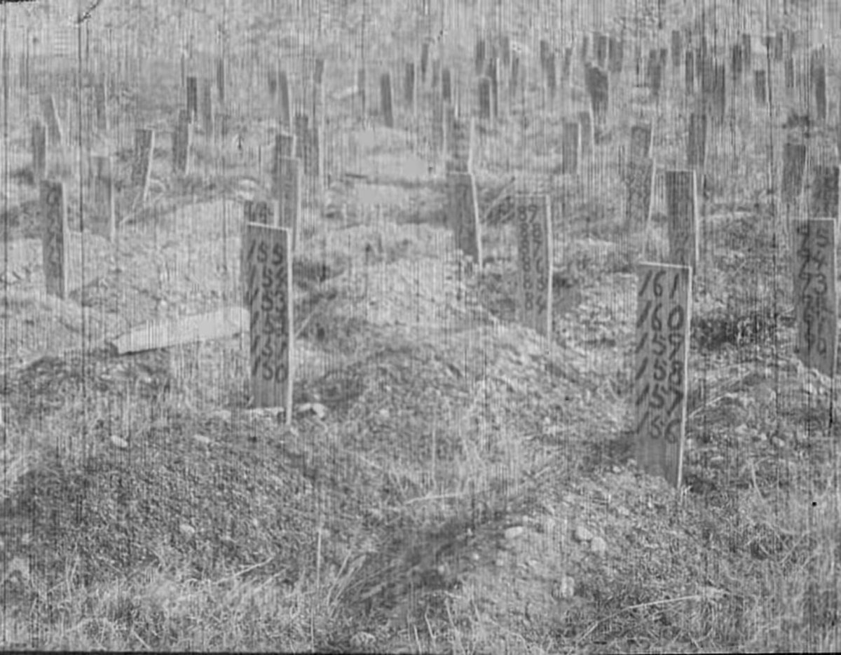 the inside of the white slave traffic, 1913 - Thread from zoyd wheeler ...