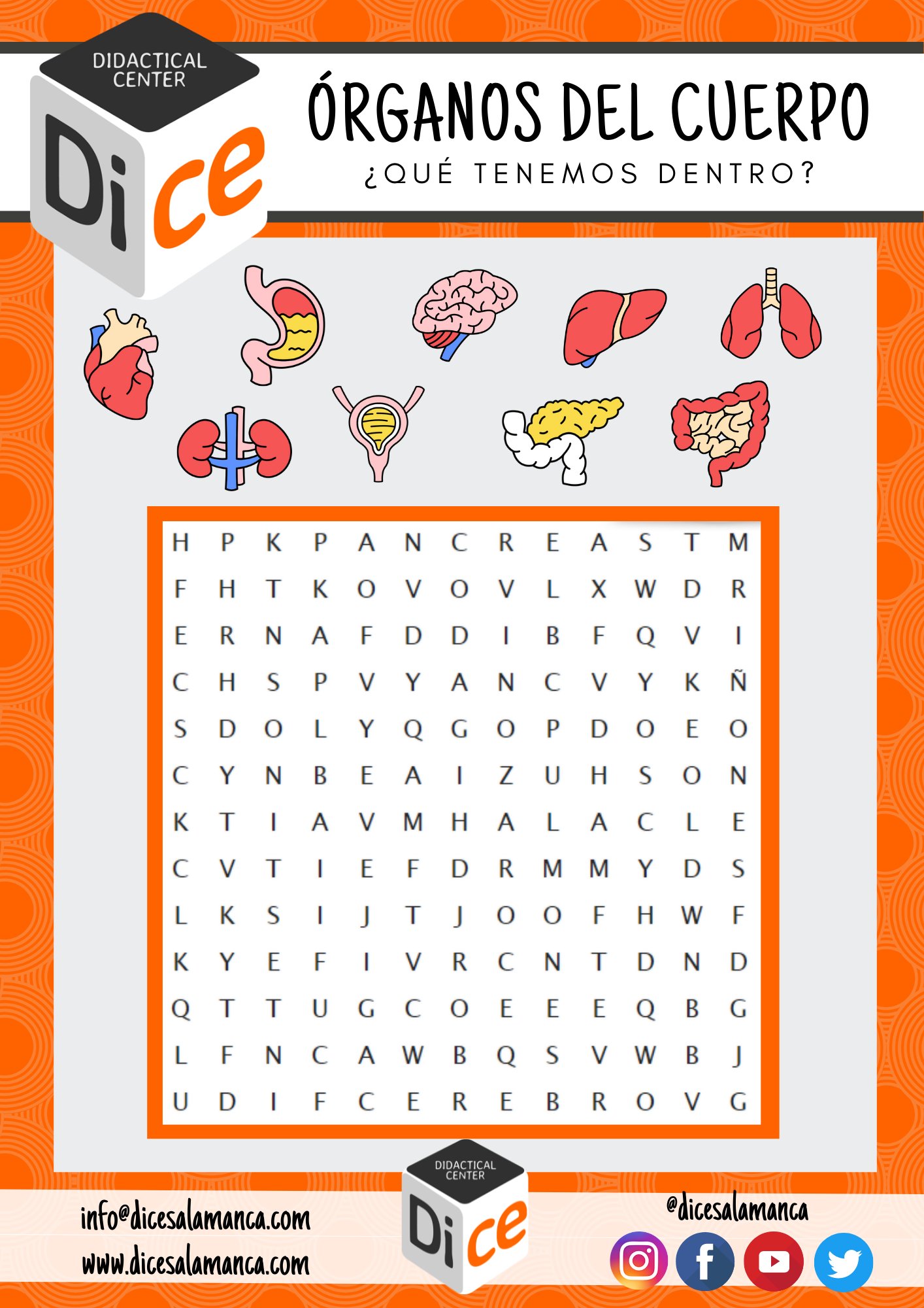 Sopa De Letras Partes Del Cuerpo 237883 | SOPA DE LETRAS 3º CUERPO