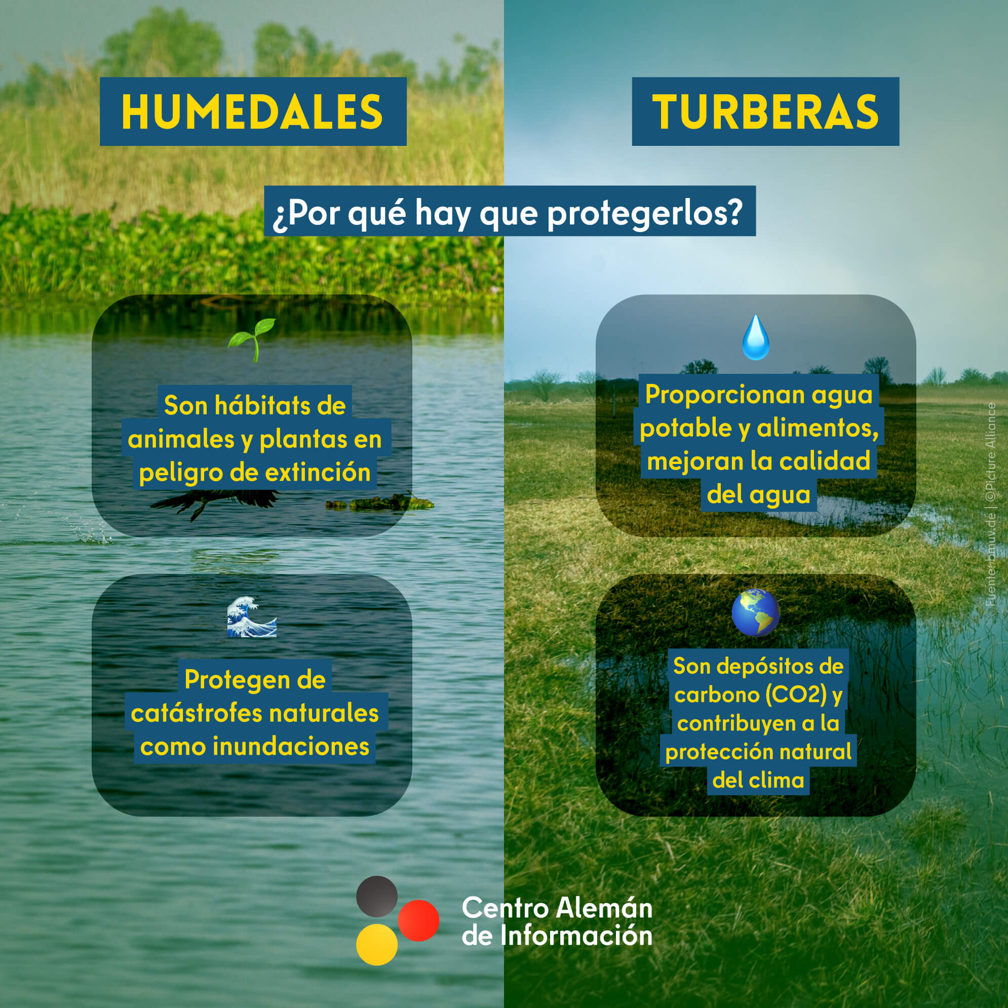 Ocurrir Paja Corrupto información sobre los humedales Inmunidad Ahora pico