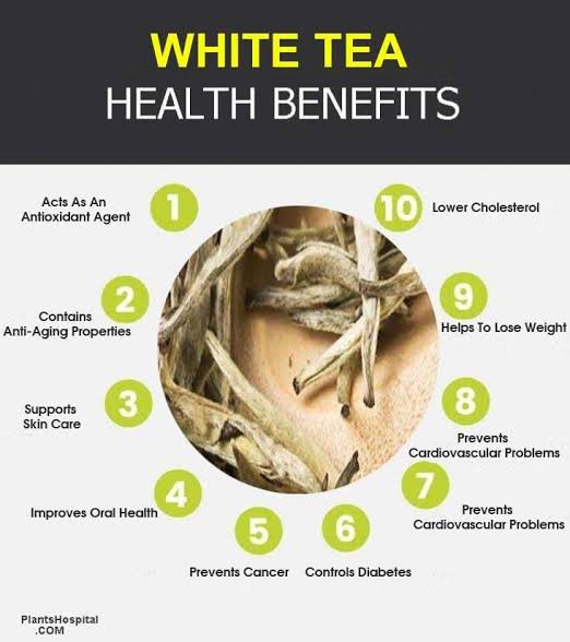 10 Benefits Of White Tea : 6 of The Best White Tea Types and Their ...