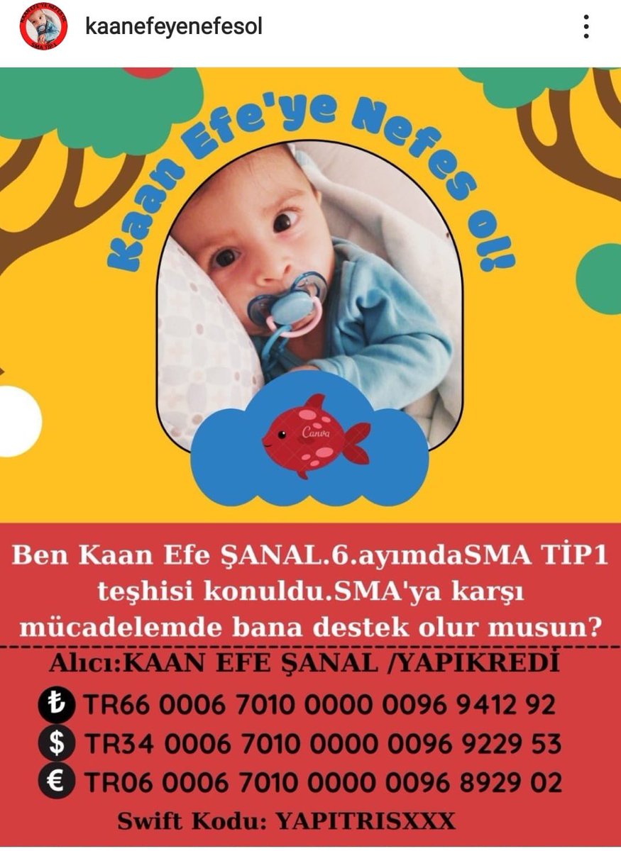 seda (@SedamMeral) | Twitter