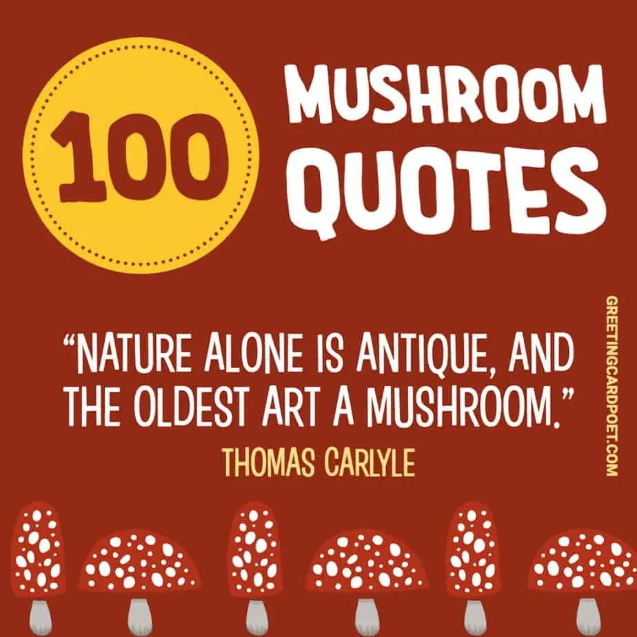 Magic Mushroom Quotes