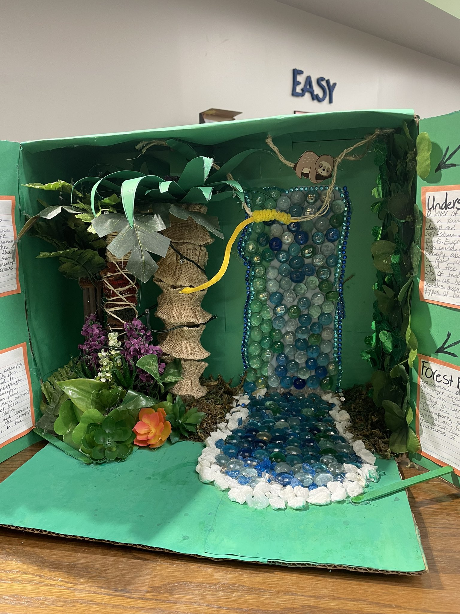 Rainforest Ecosystem Project