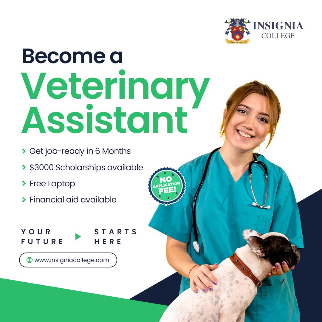 Veterinary Assistant Jobs