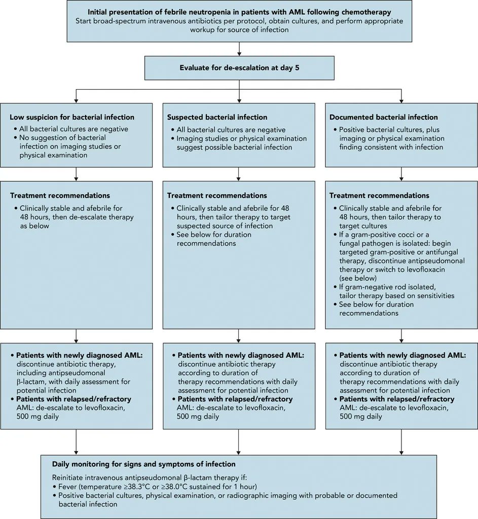 Gram Positive Rods Algorithm