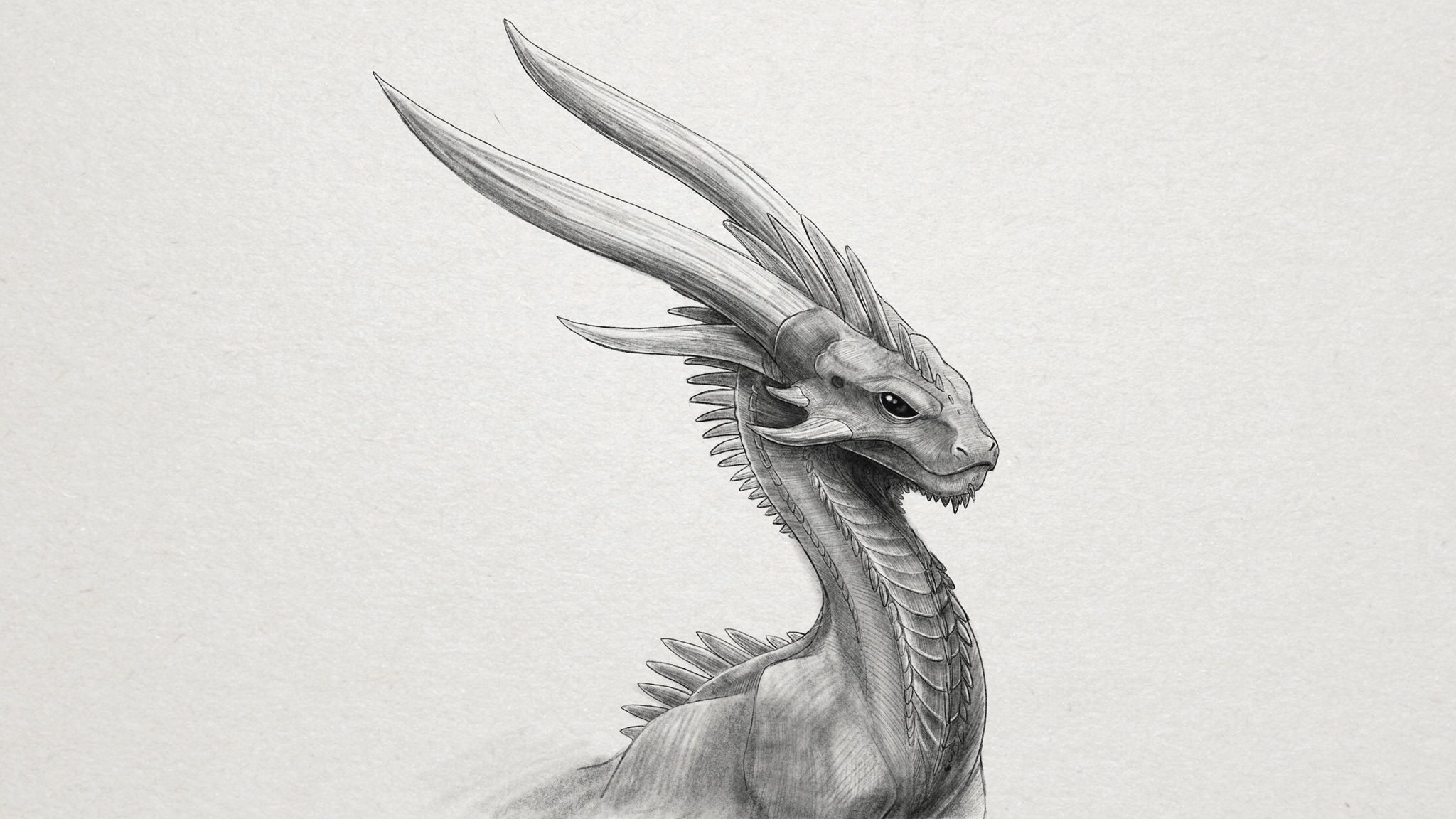 Dragon Head Pencil Drawings