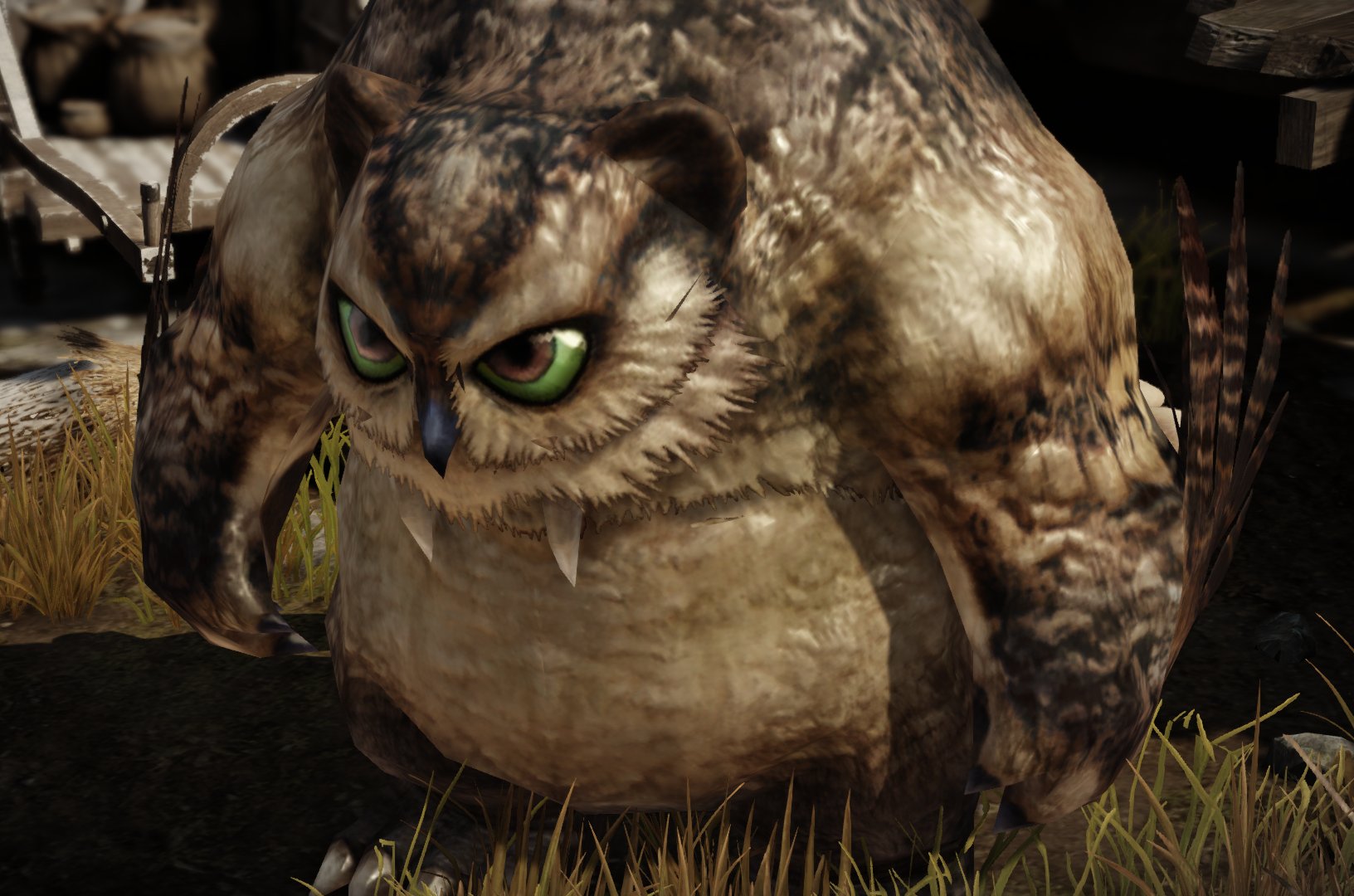 Owlbear Neverwinter