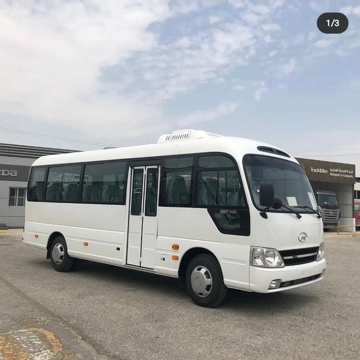 Hyundai Mini Bus