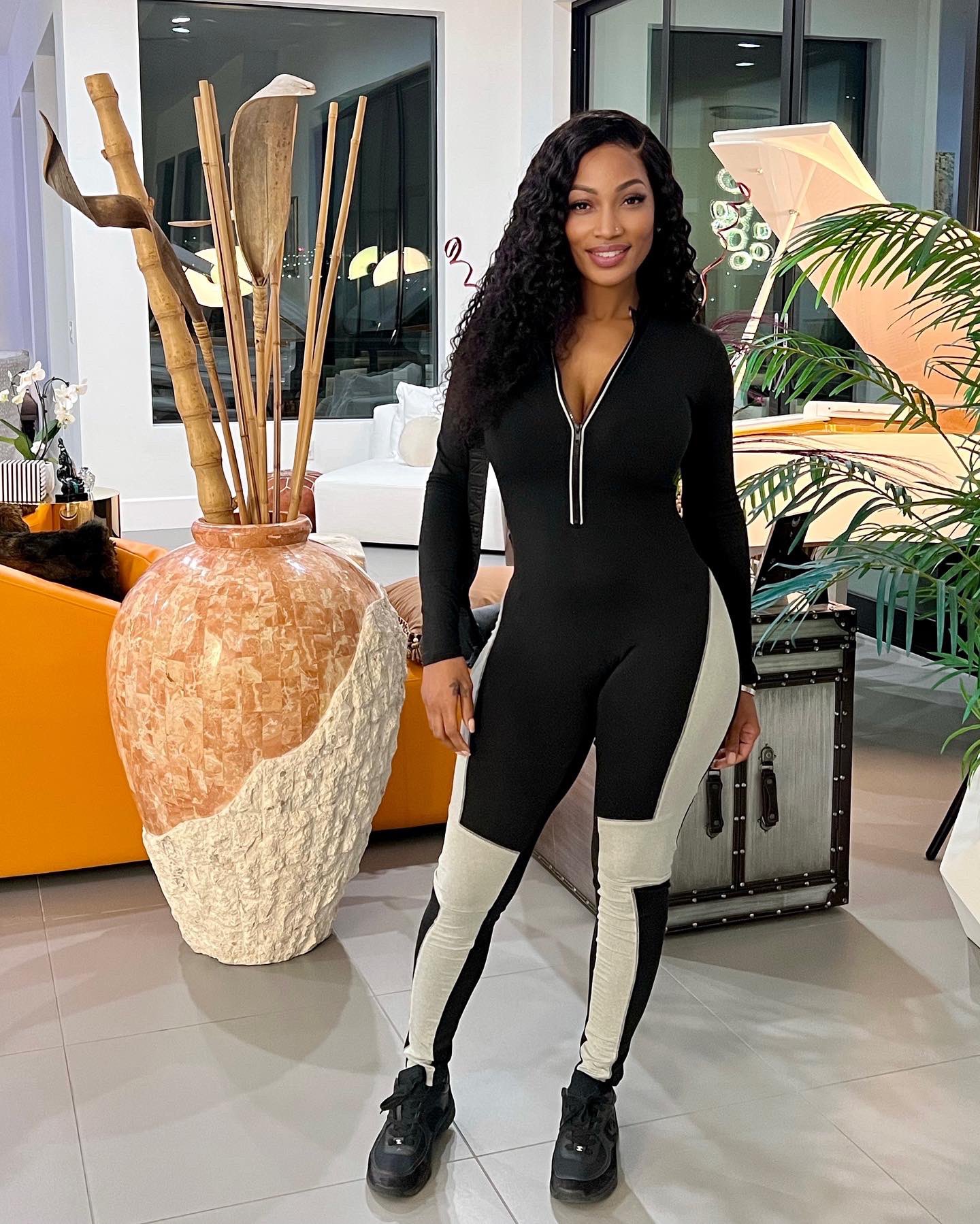 Erica Dixon Hairstyles 2024