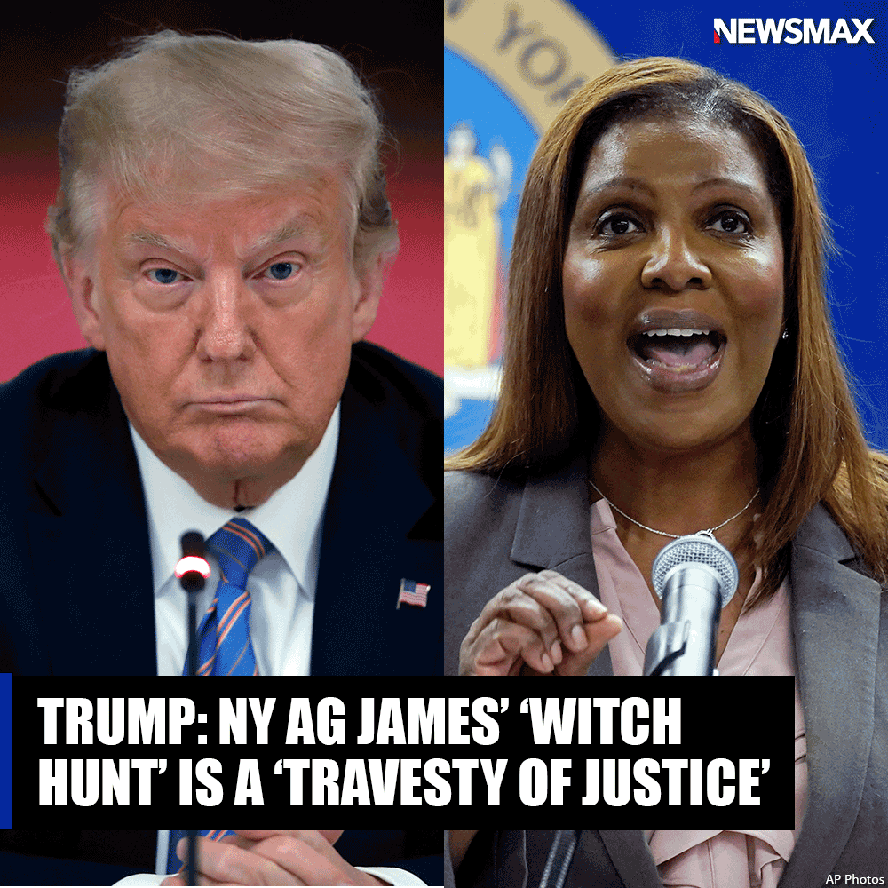 Letitia Memes Letitia Cat Notebook: Cute Cat Notebook Funny Crazy