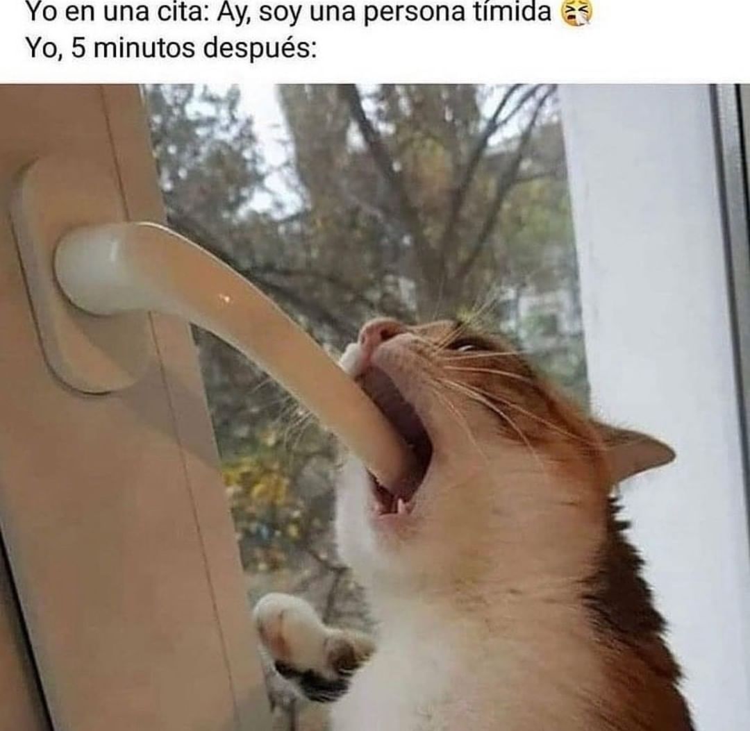 Memes De Soy Timida Soy Tímida