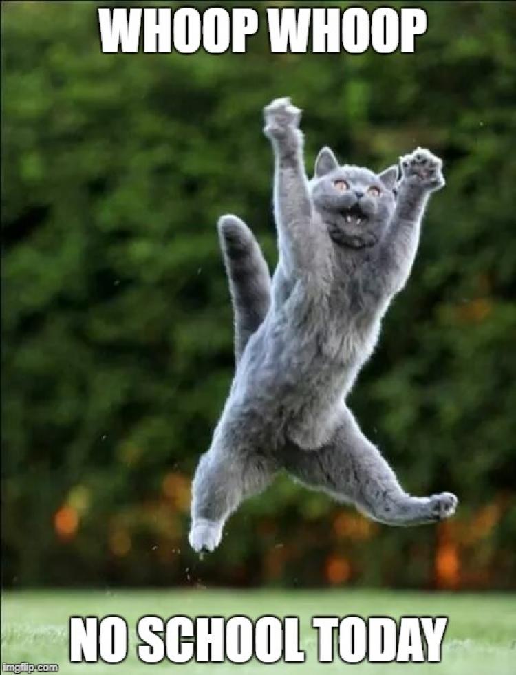 No School Today Meme