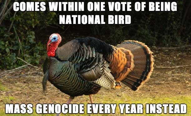 Funny Turkey Meme