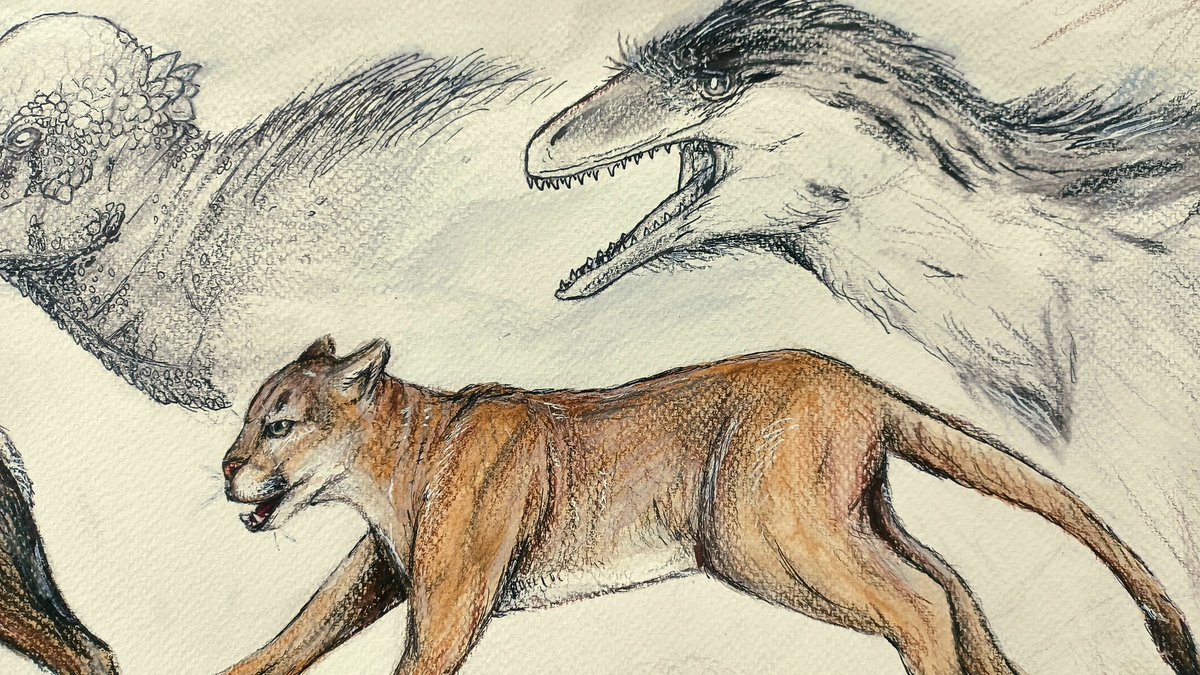 🪶Archesuchus 🏳️‍🌈 (@_Archesuchus_) さんのイラスト・マンガ作品まとめ (27 件) - Twoucan