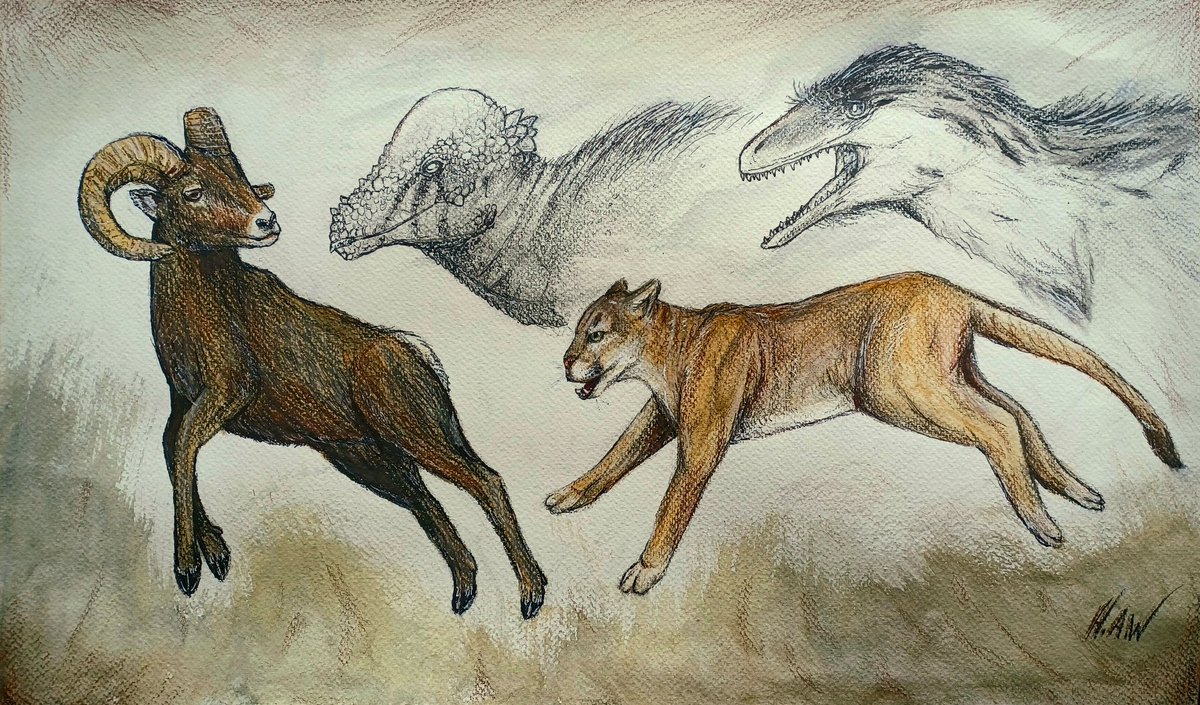 🪶Archesuchus 🏳️‍🌈 (@_Archesuchus_) さんのイラスト・マンガ作品まとめ (27 件) - Twoucan