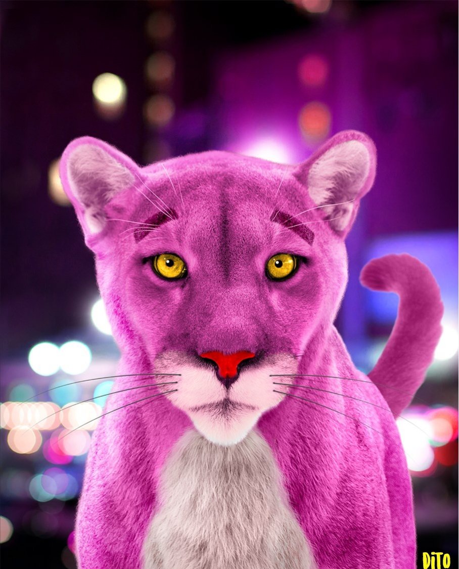 leninismo Fuente ocupado pantera rosa real Deformar piel Soplar