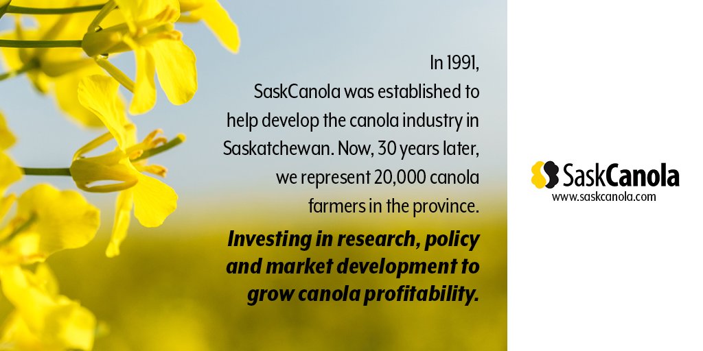 SaskCanola (@SaskCanola) | Twitter