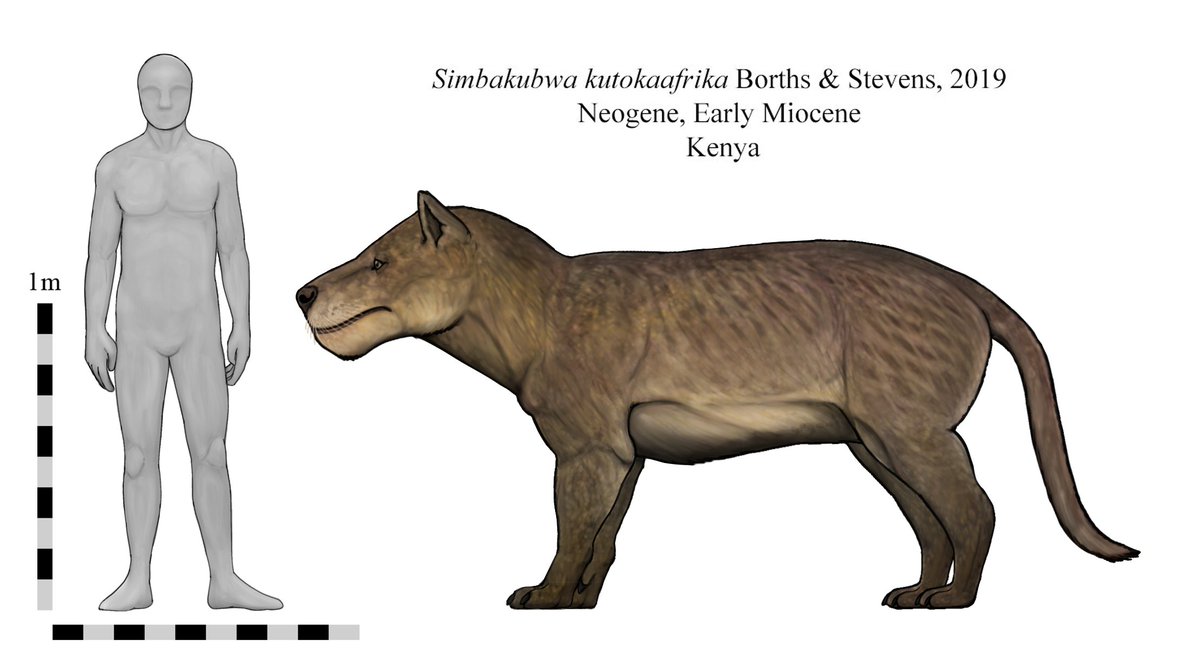 Simbakubwa, its jaws were bigger than a lions head : r/Naturewasmetal