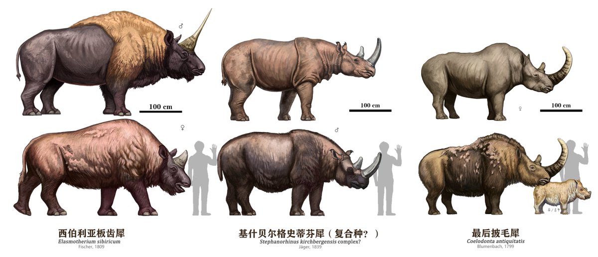 Twoucan - Somniosus insomnus (@SomniosusW)