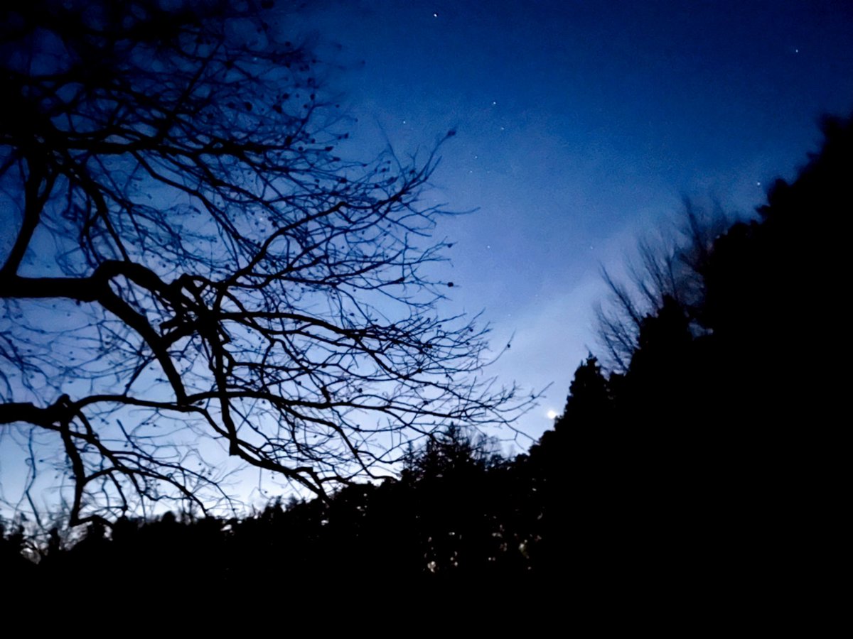 湖池 (@koike_ako) | Twitter