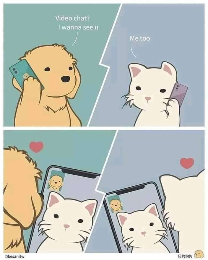 Memes About Long Distance Relationships