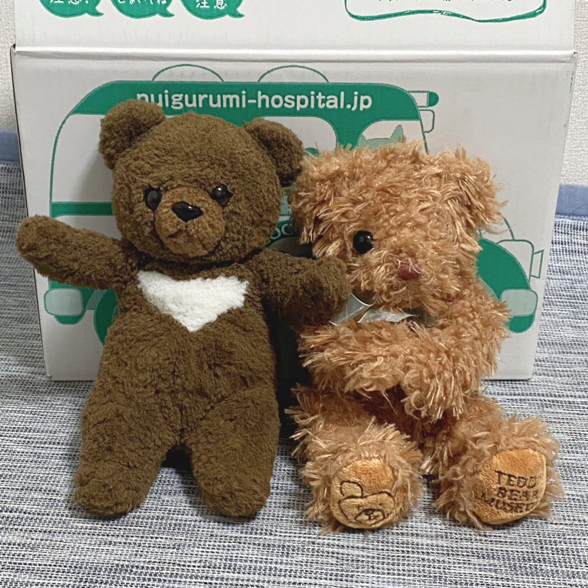 たろう (@taro_moonbear) | Twitter