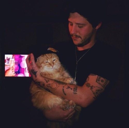 Wavves Cat