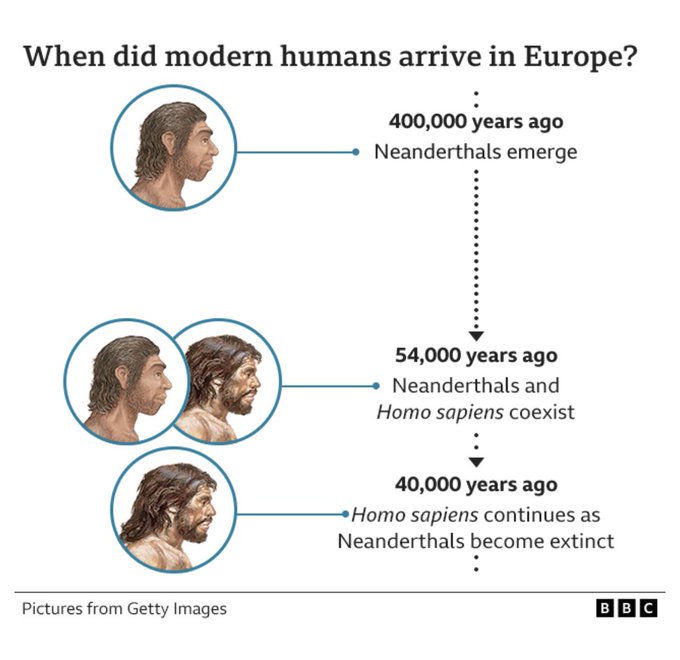 Neanderthals And Humans Coexist