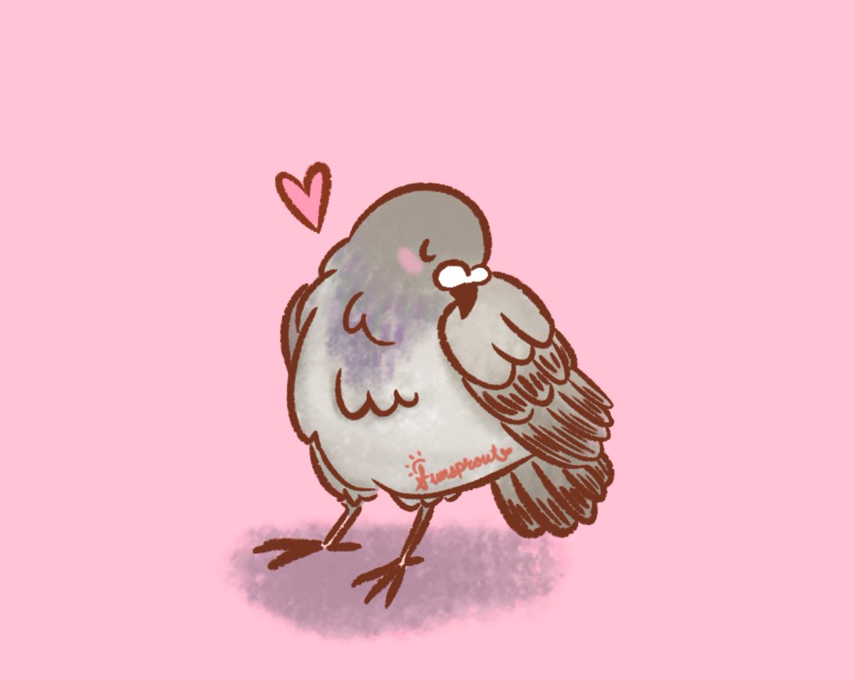 Cute Pigeon Illustration