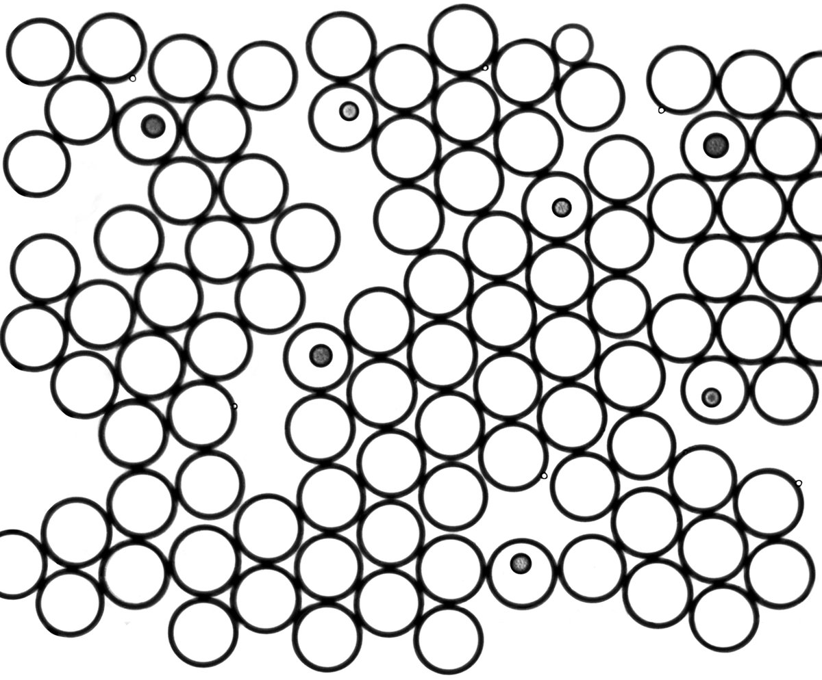 Daniel Chauss (@dchauss) | Twitter