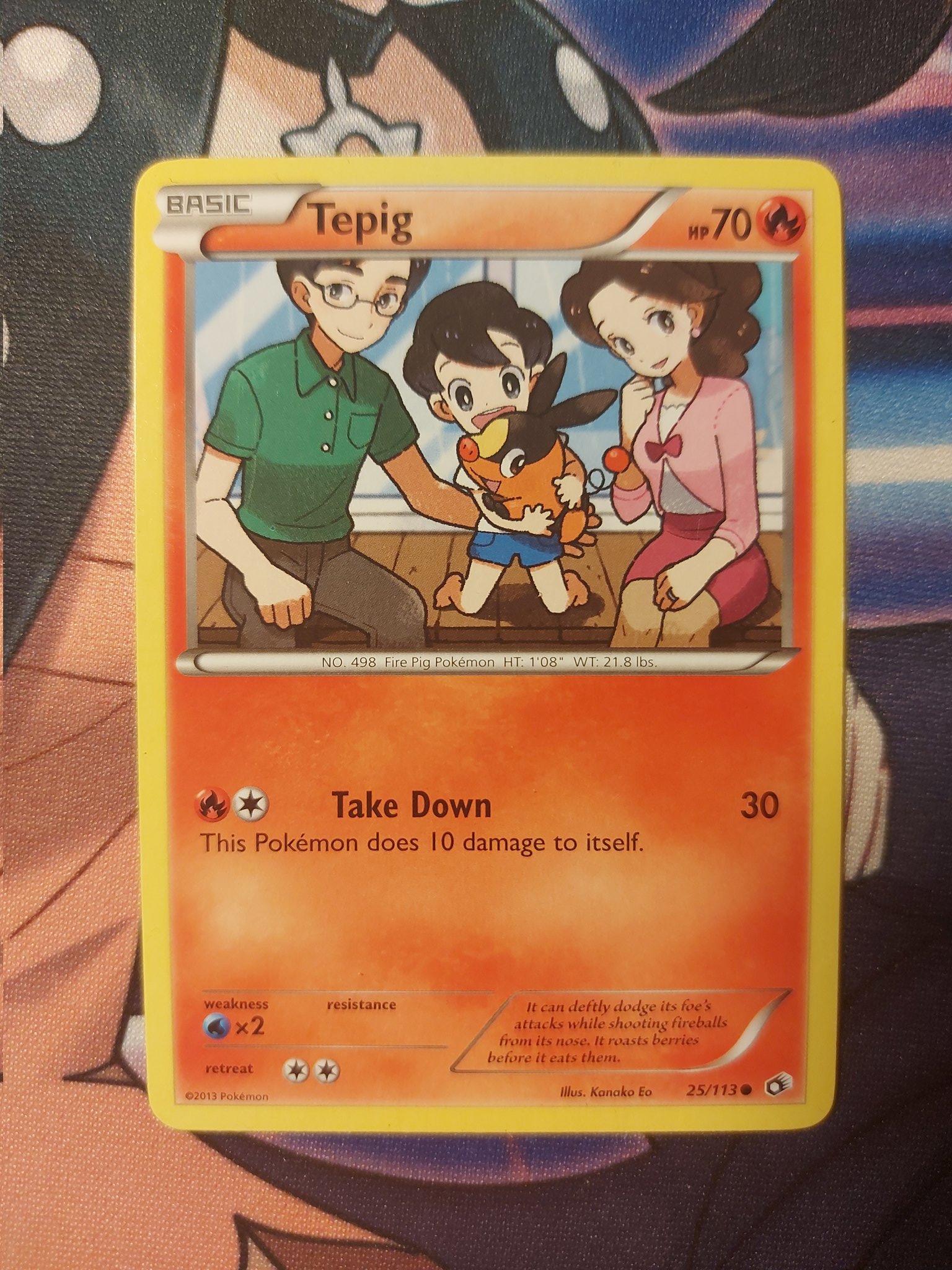 Tepig Card