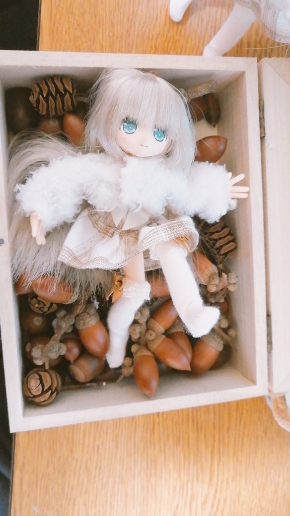 🧹いるす🧹 (@irus_Doll) さんのモデル作品まとめ (17 件) - Twoucan